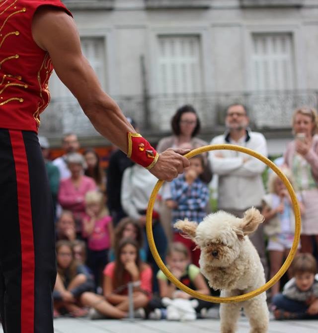 Spectacle de rue déambulation - Rolimax l’Artiste Cirque